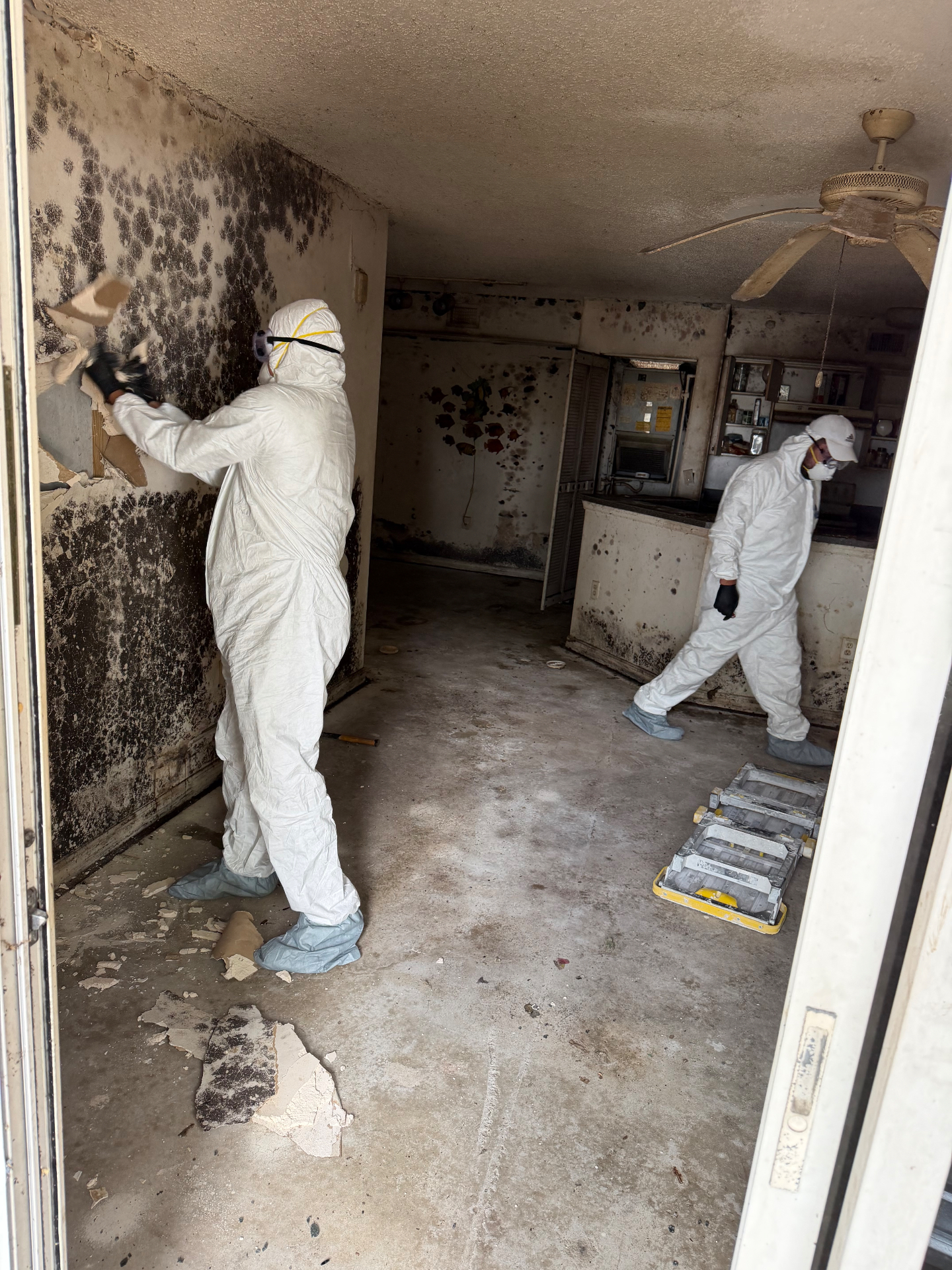 Mold Remediation in South Florida | PrimeOne Multifamily